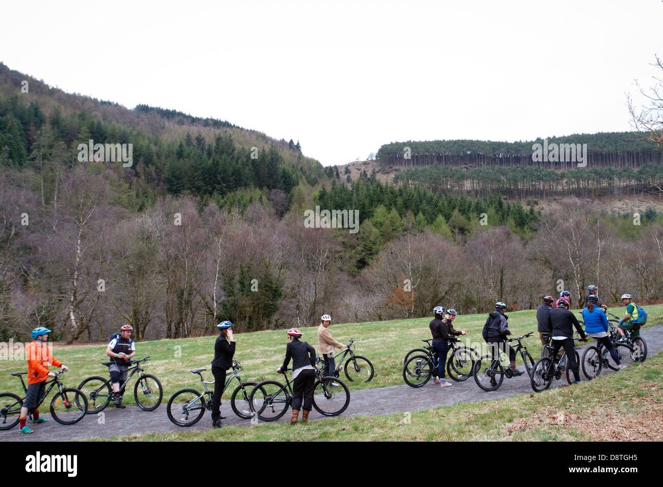Mountain Biking in the Afan Valley, South Wales Stock Photo - Alamy