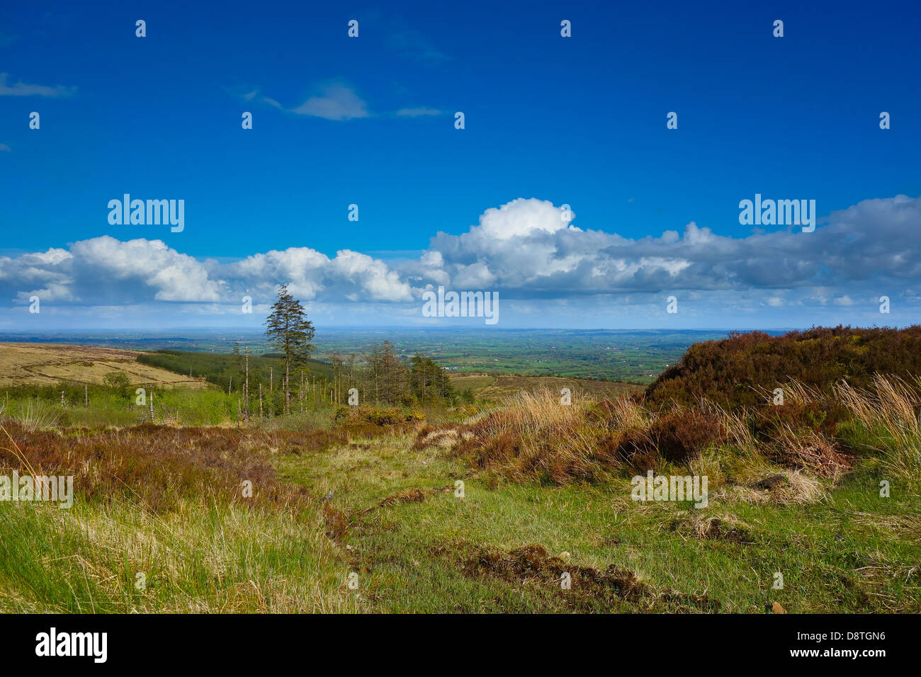 Carnmore Sliabh Beagh Stock Photo - Alamy