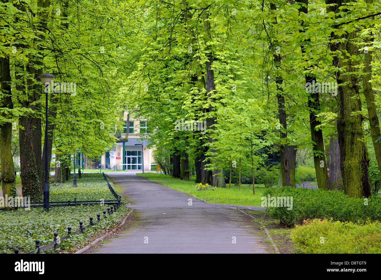 Wroclaw Park Szczytnicki in the spring Stock Photo - Alamy