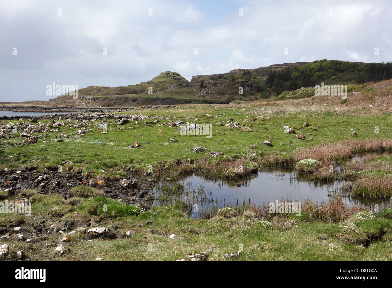 Ulva, Isle of Mull, Scotland, May 2013 Stock Photo - Alamy