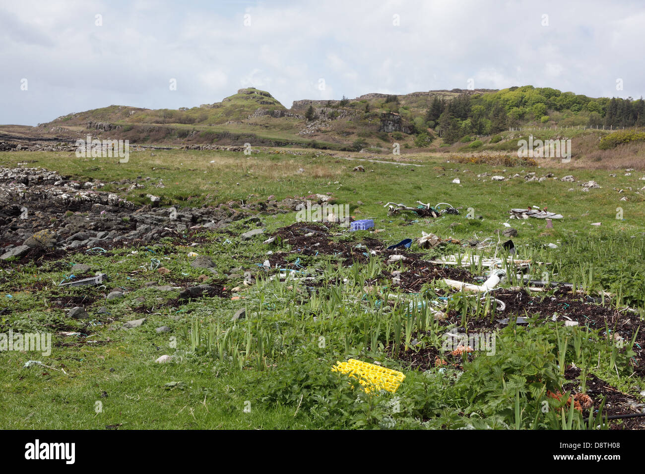 Ulva, Isle of Mull, Scotland, May 2013 Stock Photo - Alamy