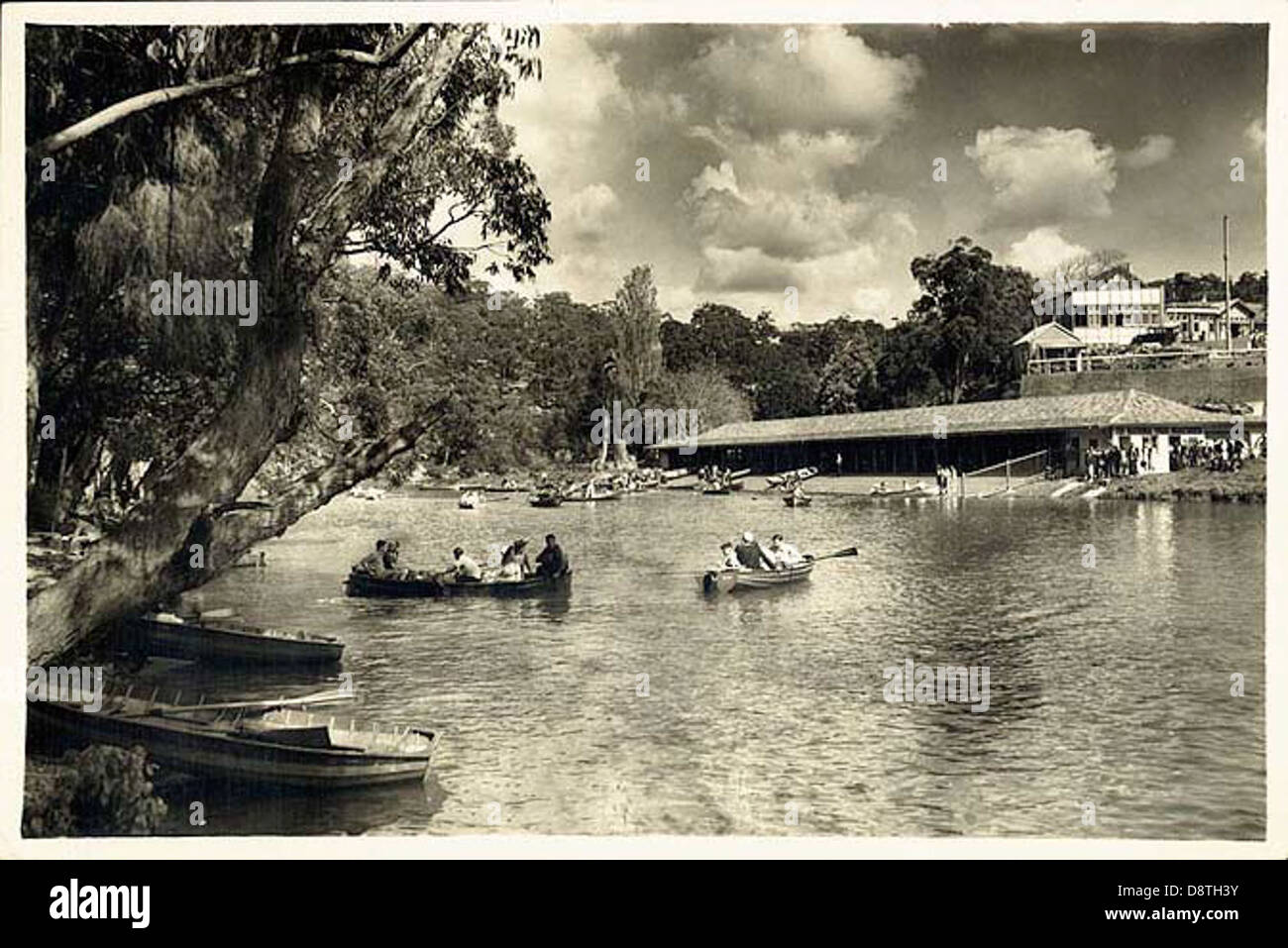 The Royal National Park in Audley, New South Wales, is captured in this ...