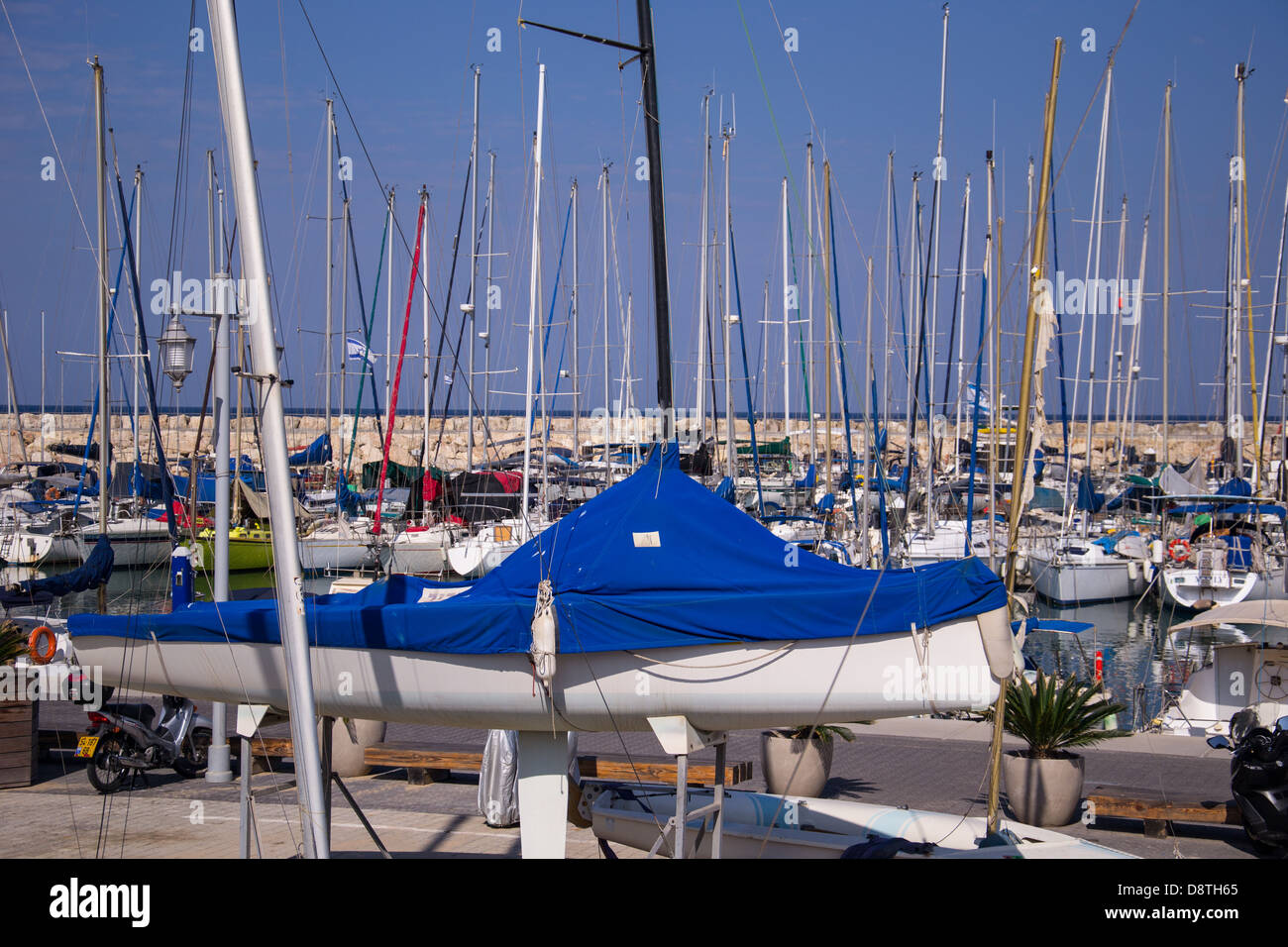 The yachts at the coast Tel-Aviv, Israel Stock Photo - Alamy