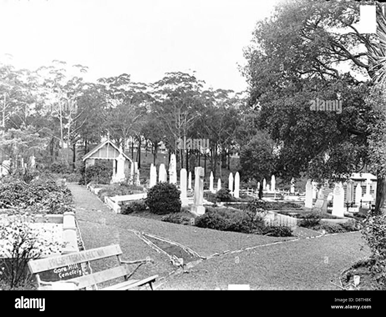 Cemetery - Gore Hill Stock Photo - Alamy
