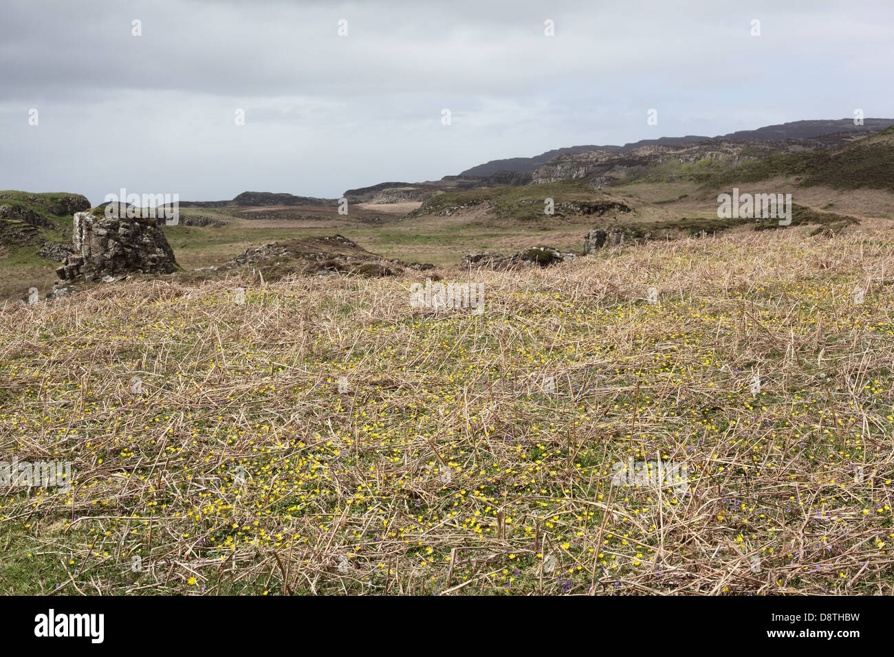Ulva, Isle of Mull, Scotland, May 2013 Stock Photo - Alamy