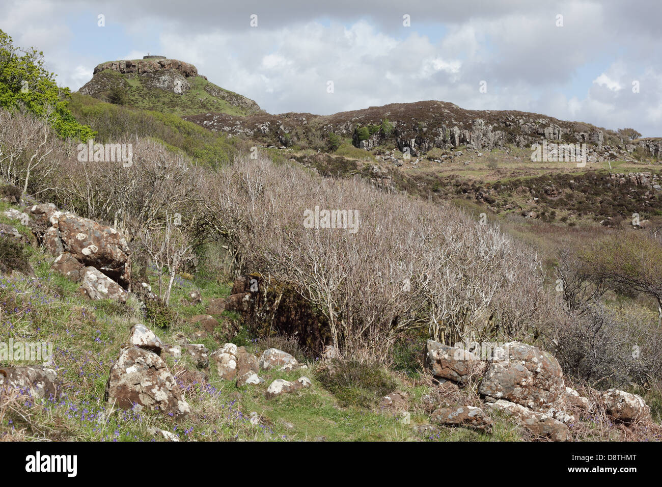 Ulva, Isle of Mull, Scotland, May 2013 Stock Photo - Alamy