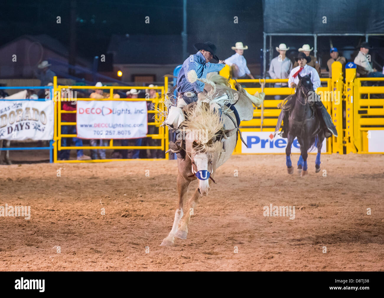 Cowboy Participant in a Bucking horse Competition at the Helldorado ...
