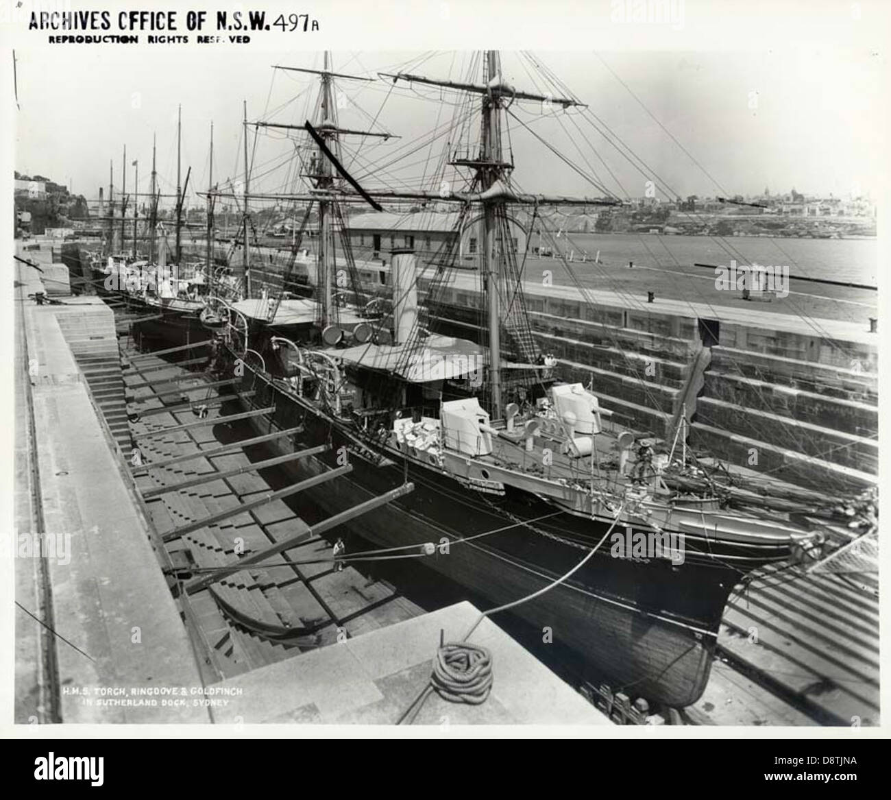 This historical image shows H.M.S. Torch, Ringdove, and Goldfinch ...