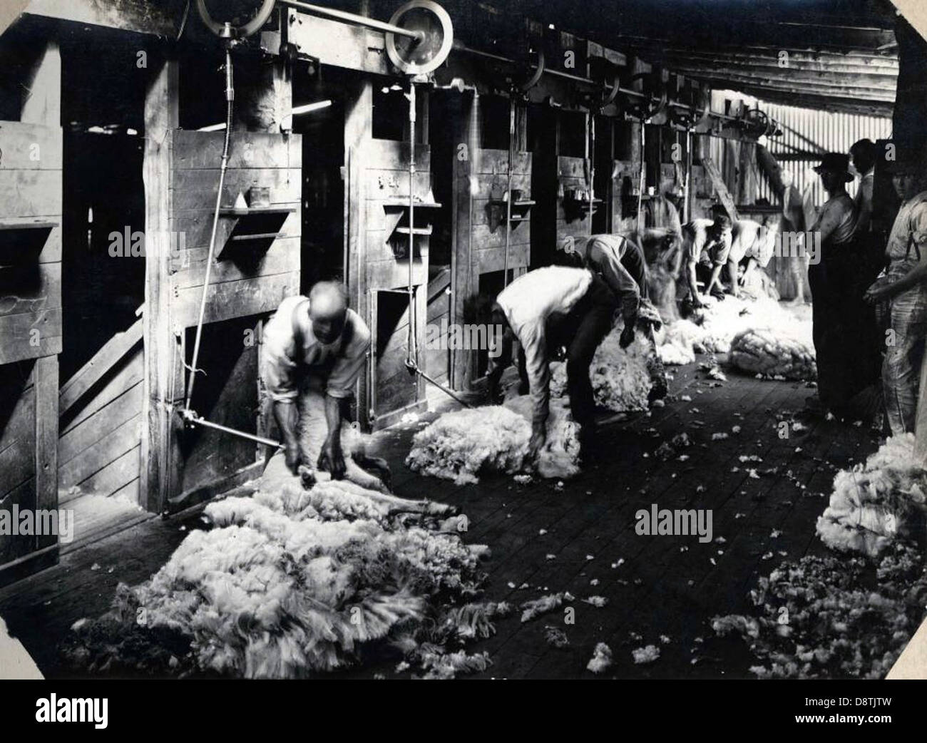 Shearingshed hi-res stock photography and images - Alamy
