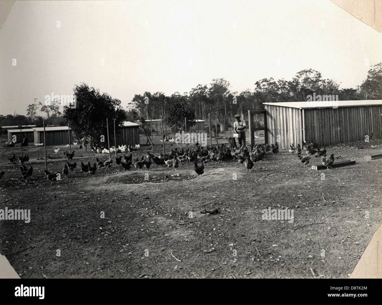 Soldier farming hi-res stock photography and images - Alamy