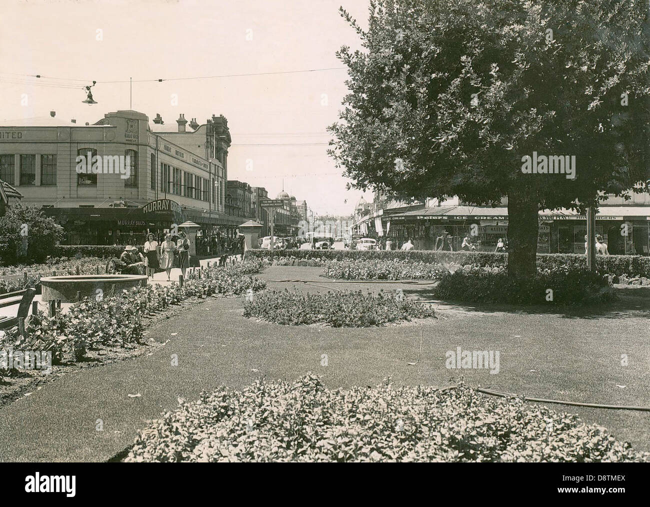 A black-and-white photograph capturing St John's Park in Parramatta ...