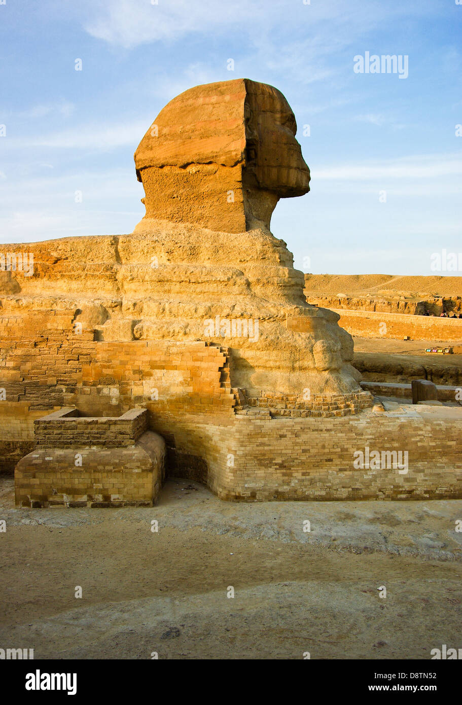 Side-view of the Great Sphinx of Giza in afternoon light, Egypt Stock ...