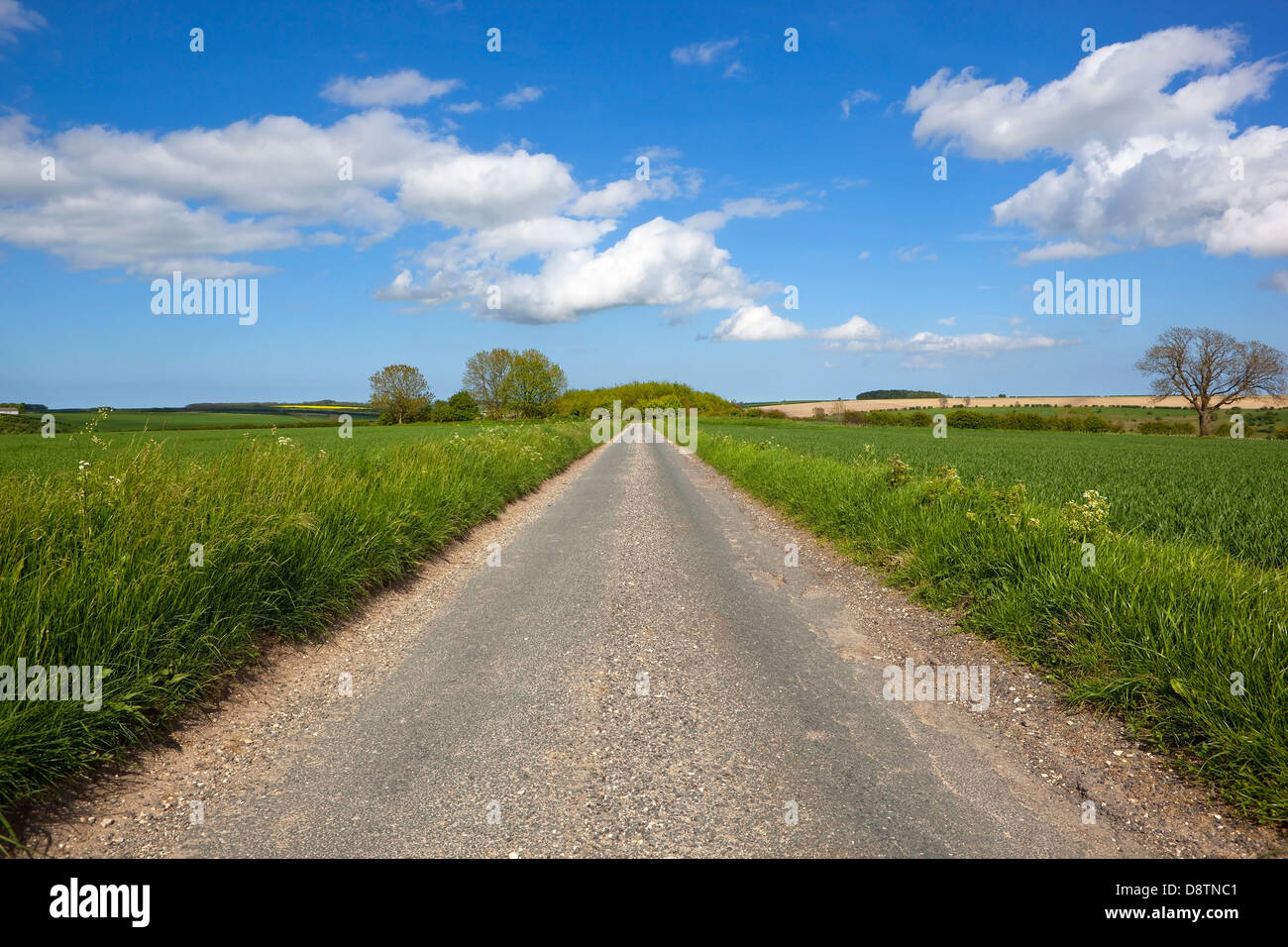 A small rural road in the Yorkshire wolds, England through scenic ...
