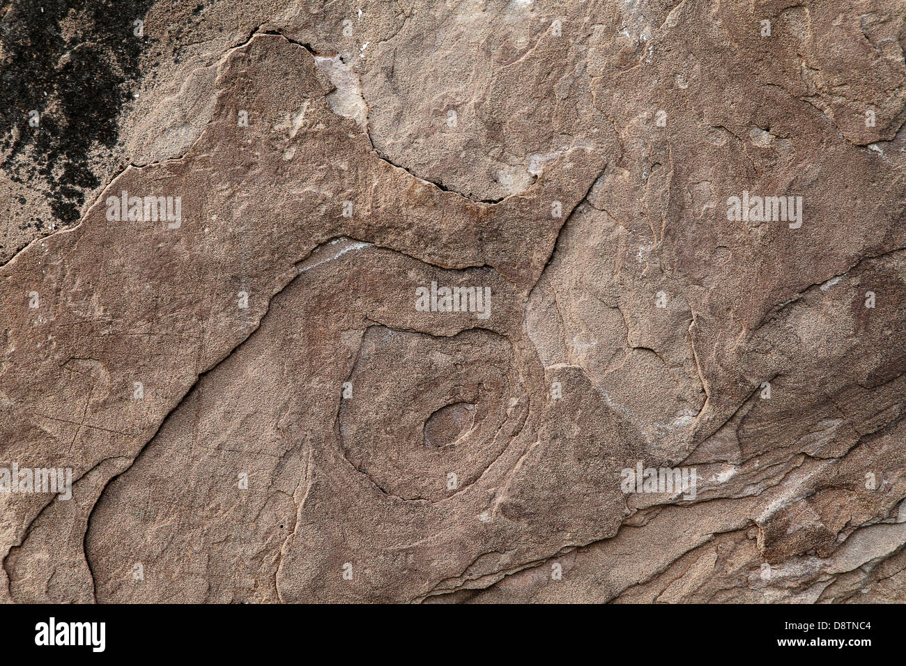 closeup of a brown stone texture background Stock Photo - Alamy