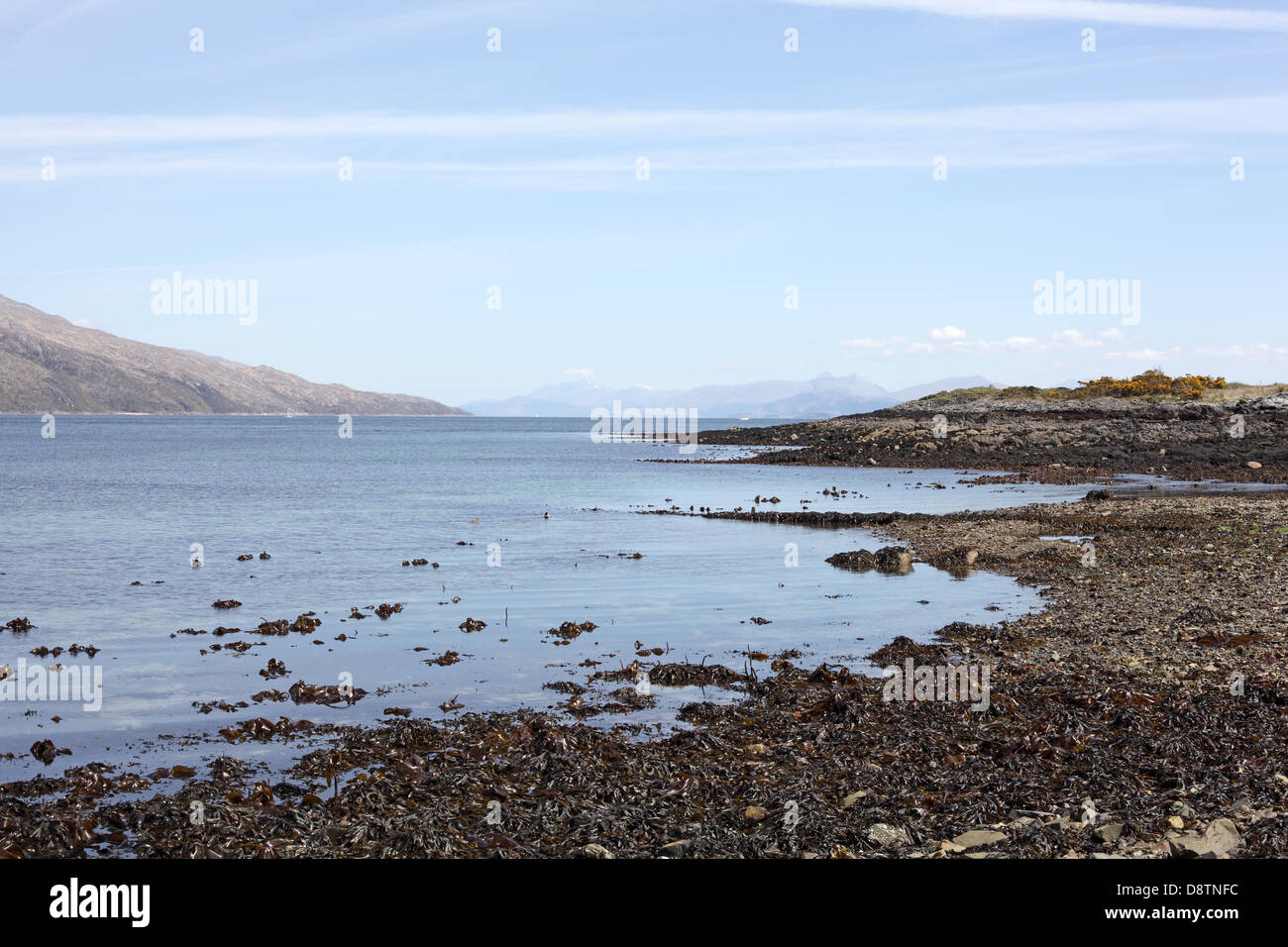 Craignure area, Isle of Mull, Scotland, May 2013 Stock Photo - Alamy