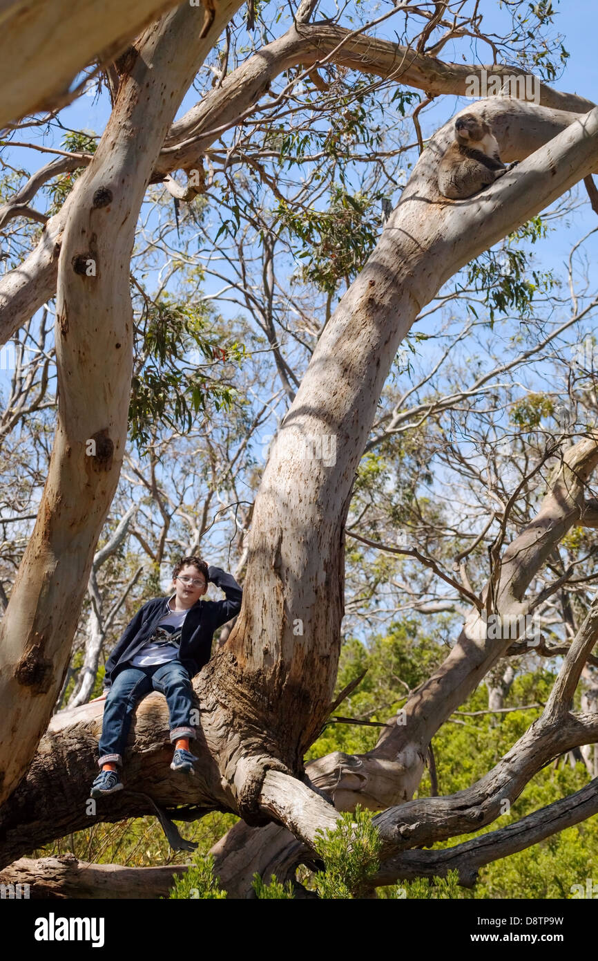 Matteo colombo hi-res stock photography and images - Alamy