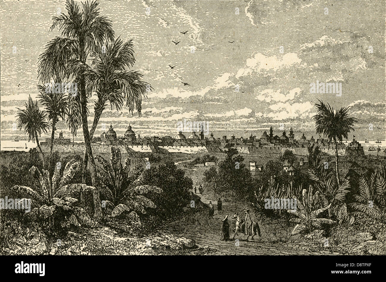 Antique circa 1880s engraving, Veracruz, Mexico Stock Photo - Alamy