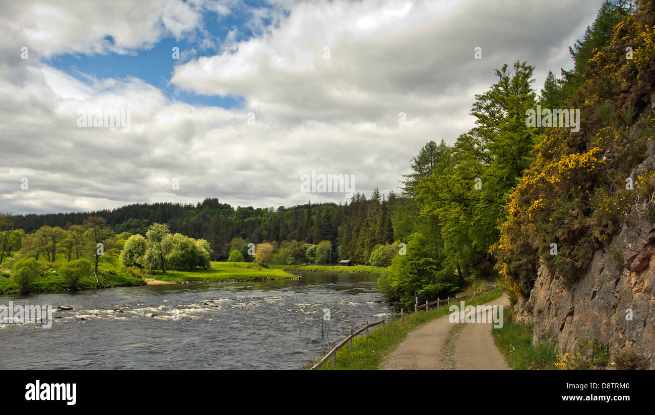 Scottish river spey hi-res stock photography and images - Alamy