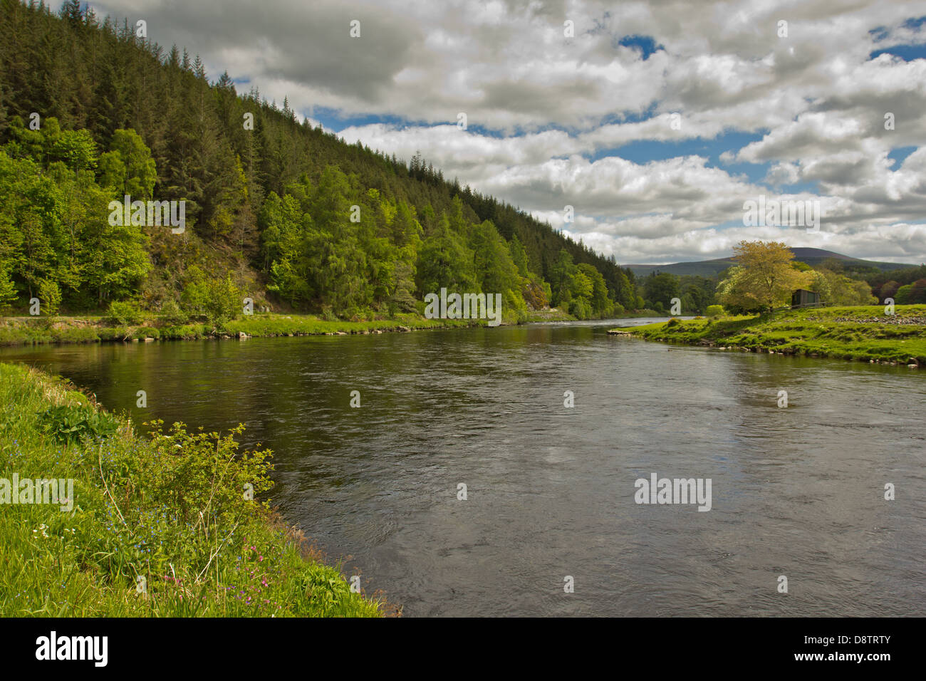 LOOKING DOWN THE POOLS AT WESTER ELCHIES A PRIME SALMON BEAT ON THE ...