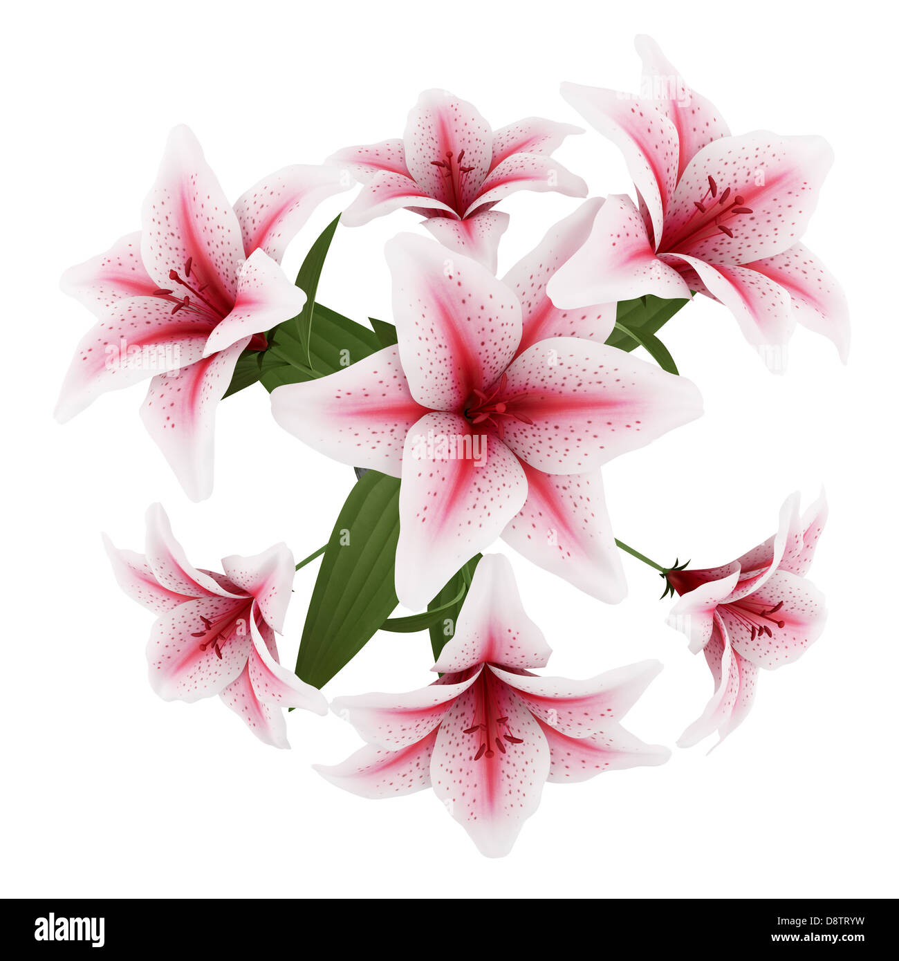 top view of bouquet of pink lilies isolated Stock Photo - Alamy