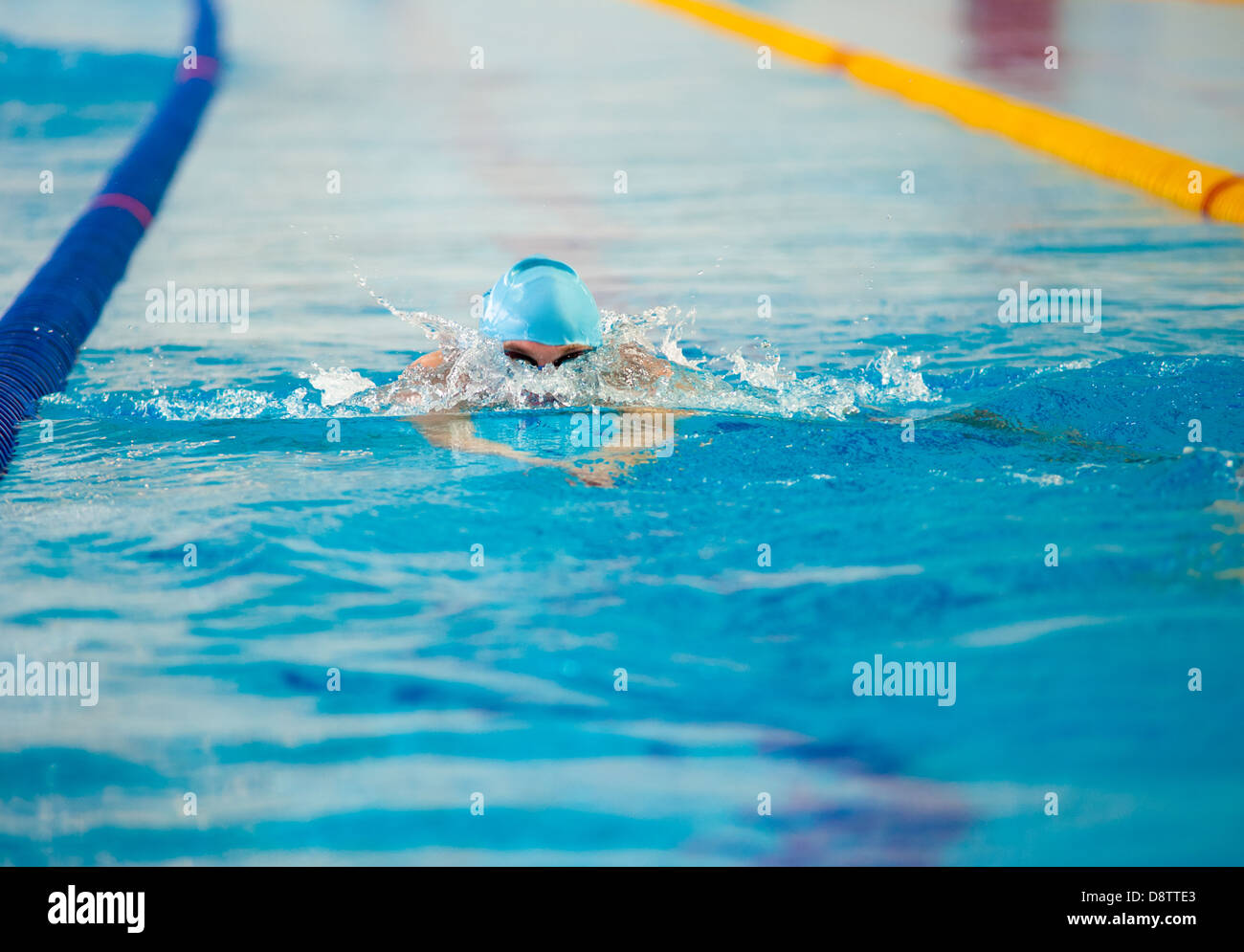 swimmer swims in water Stock Photo - Alamy