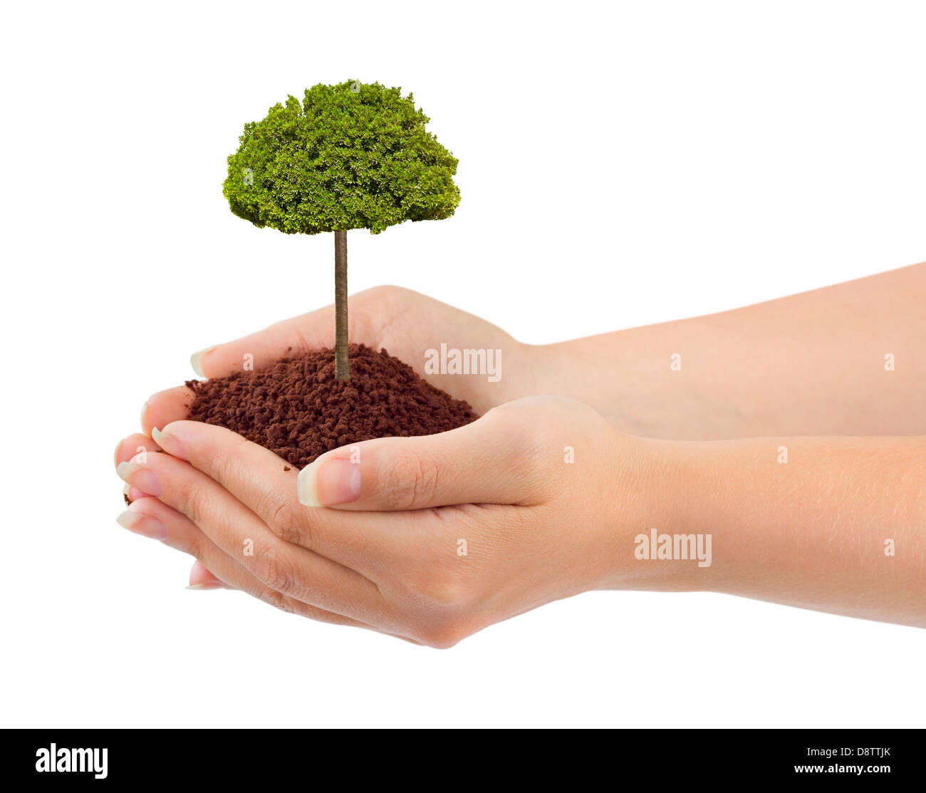 Hands and tree Stock Photo - Alamy
