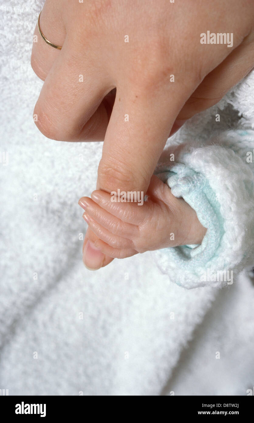 tiny premature baby's hand grasping parent's finger Stock Photo - Alamy