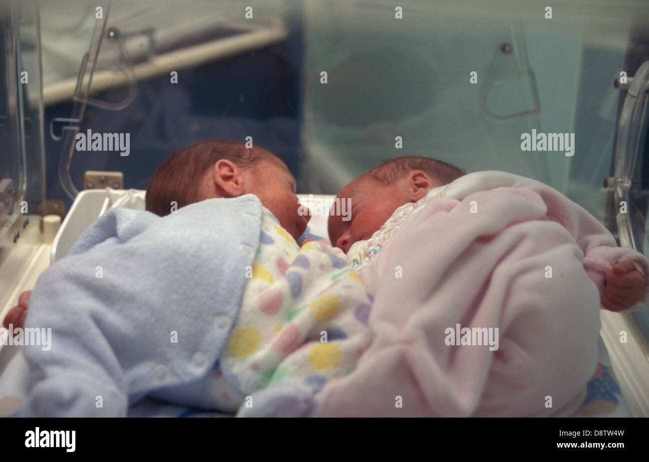 premature twins in an incubator Stock Photo - Alamy