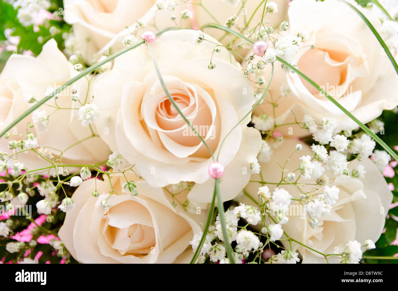 bunch of roses Stock Photo - Alamy