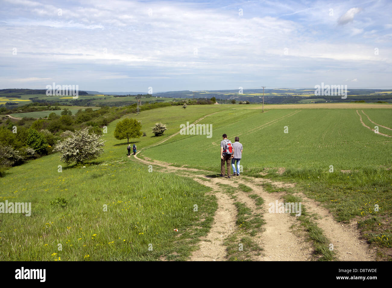 Rhine hiking path Stock Photo - Alamy