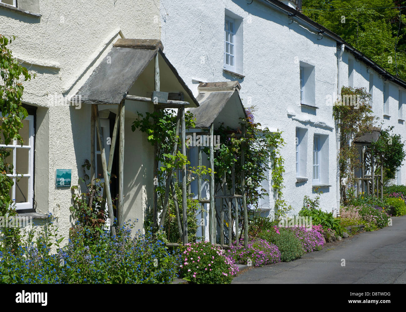 Traditional whitewashed cottages in the village of Outgate, South ...