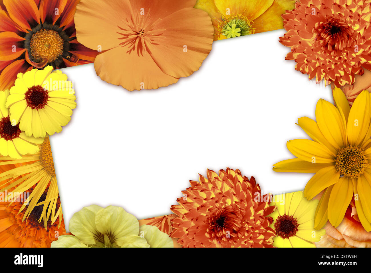 card with flowers Stock Photo - Alamy