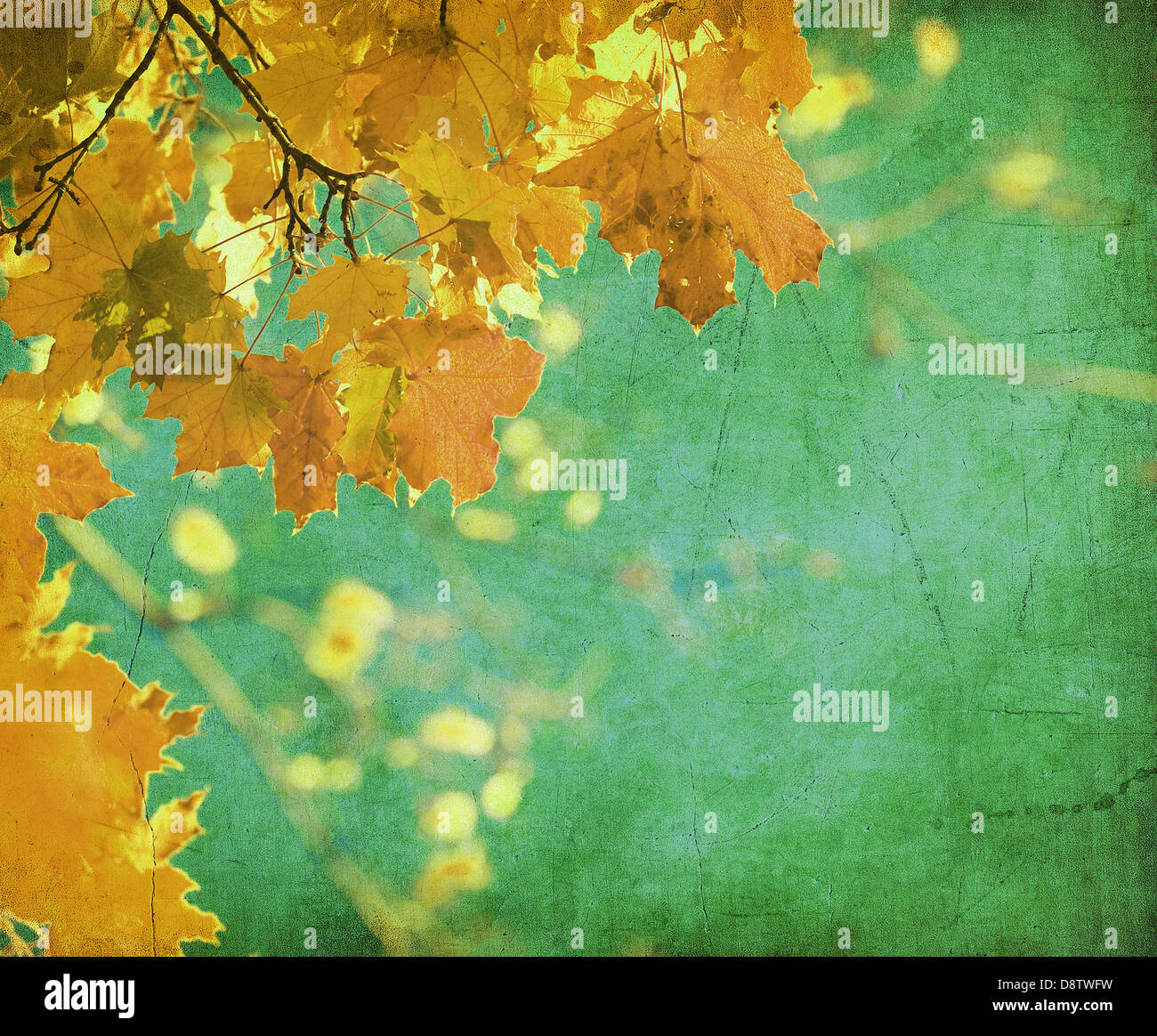 grunge background with autumn leaves Stock Photo - Alamy