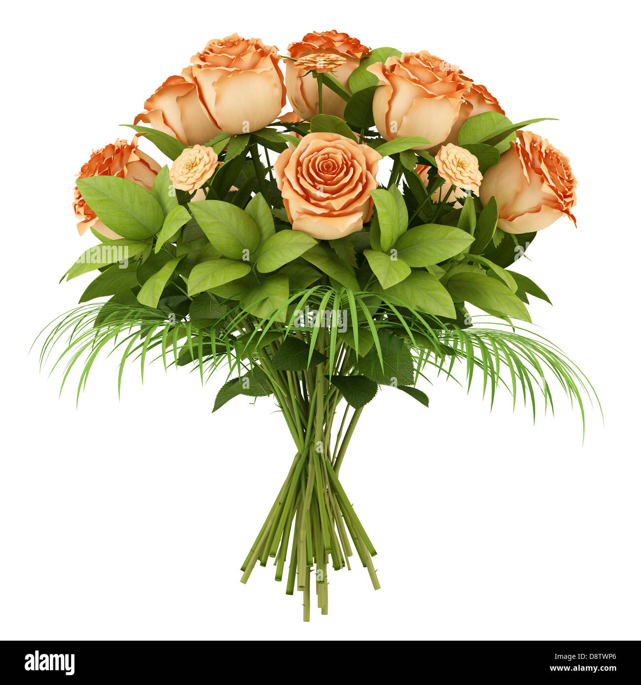 Roses hi-res stock photography and images - Alamy