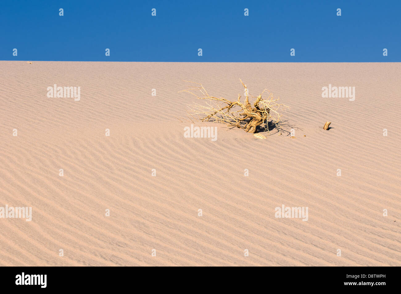 Desert extreme temperature hi-res stock photography and images - Alamy