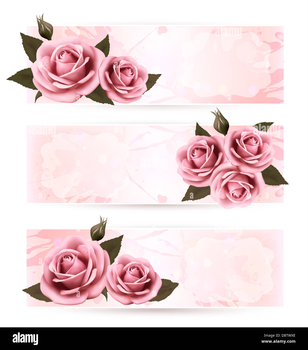 Set of holiday banners with pink beautiful roses. Vector Stock Photo ...