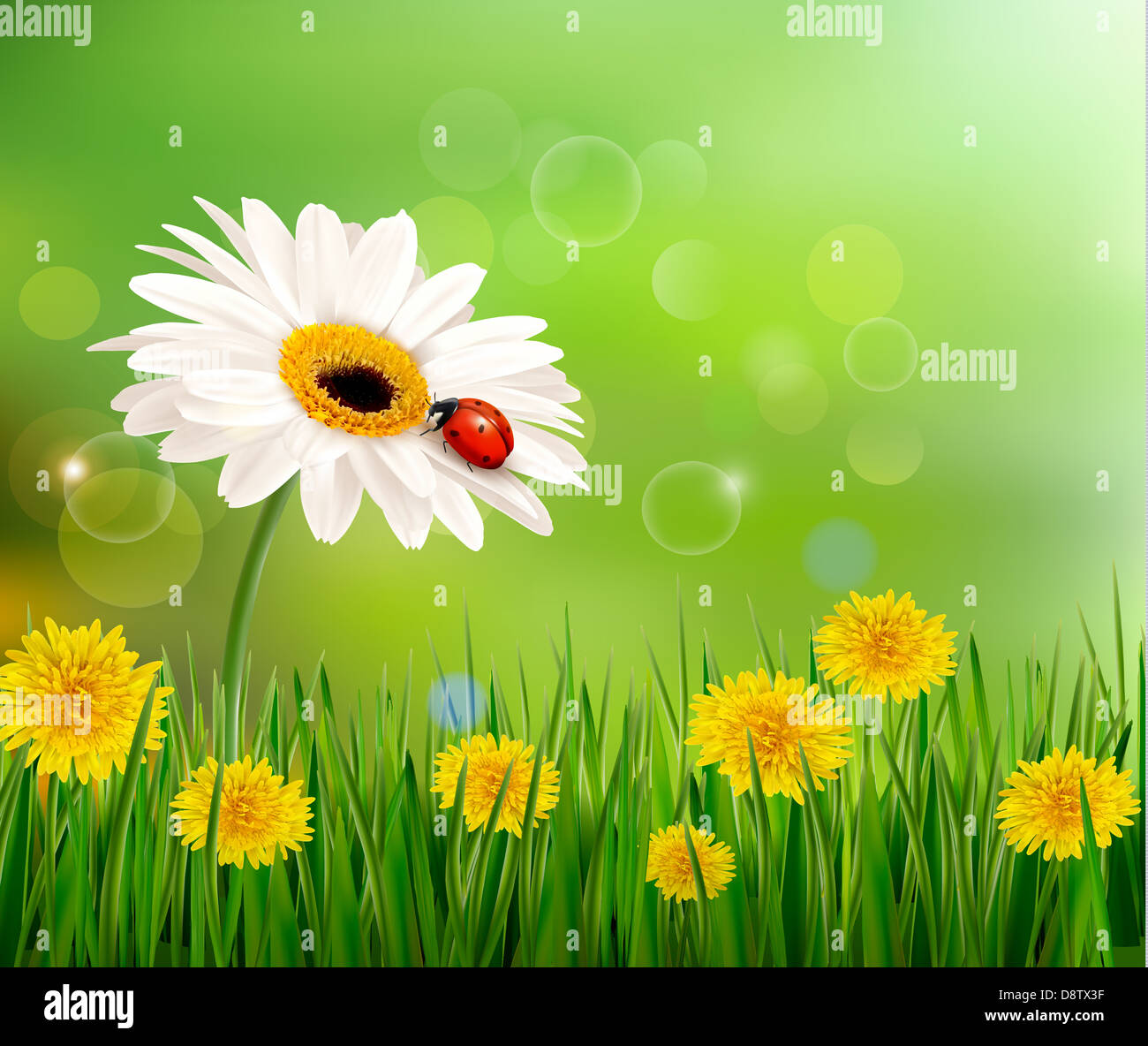 Summer nature background with ladybug on white flower. Vector Stock ...