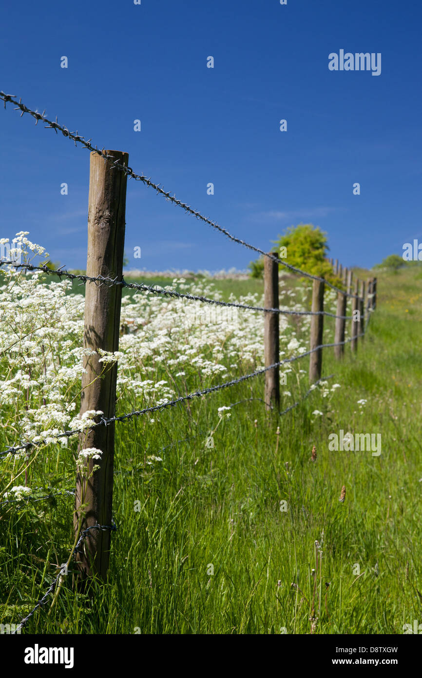 Portrait view of a fence in the country Stock Photo - Alamy