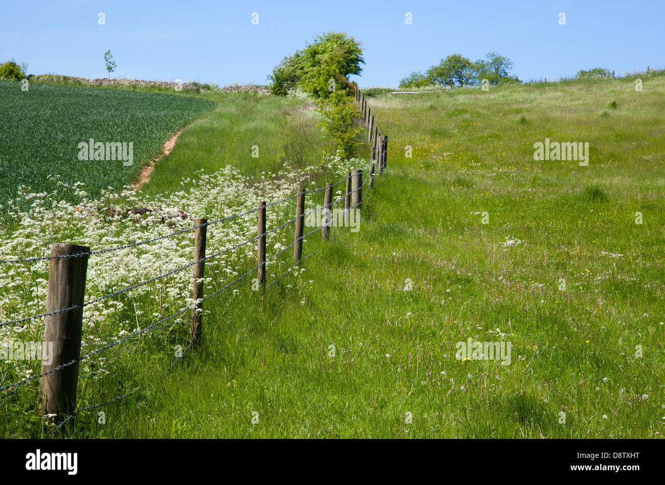 A fence across the English countryside Stock Photo - Alamy
