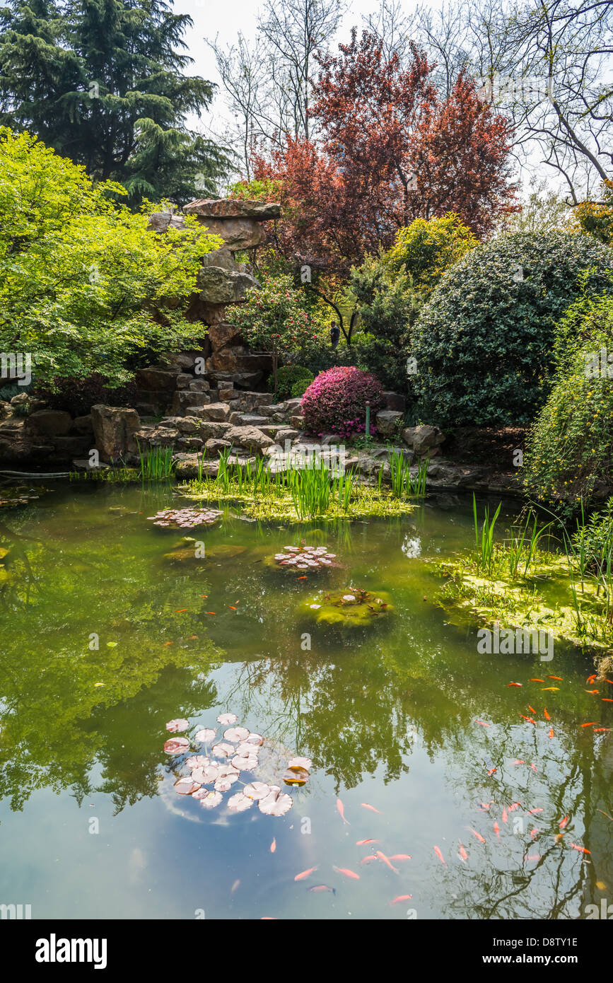 Peoples Park And Square Shanghai High Resolution Stock Photography and ...