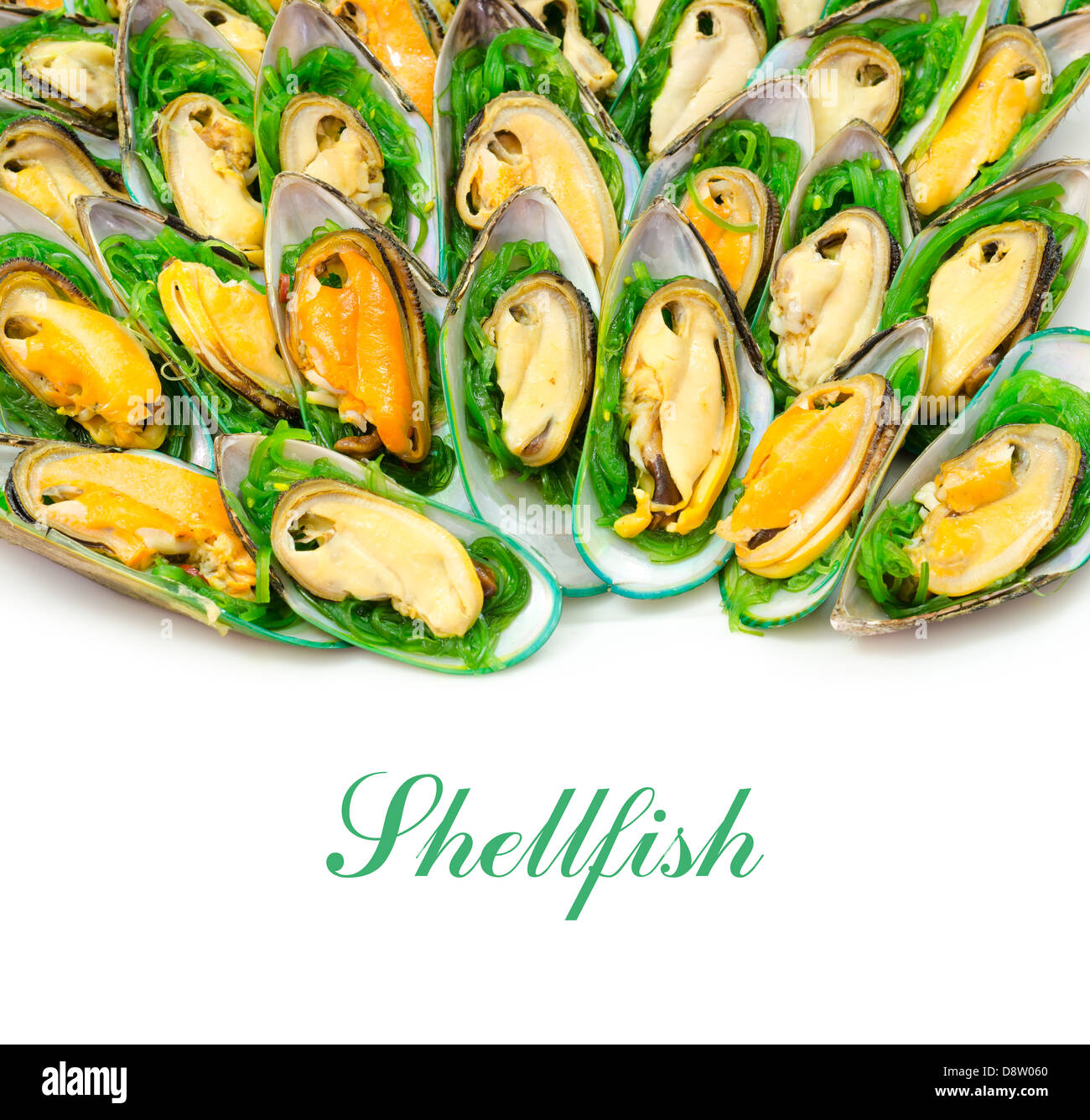 Fan mussel hi-res stock photography and images - Alamy