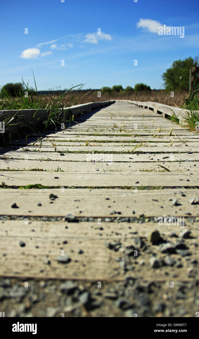 Sunshine walk hi-res stock photography and images - Alamy