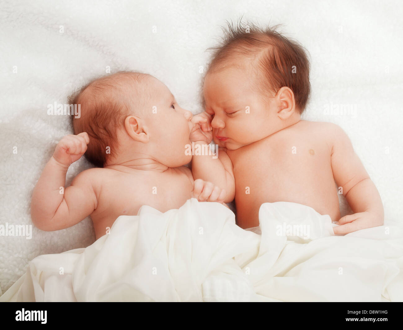 Twins two week old baby Stock Photo - Alamy