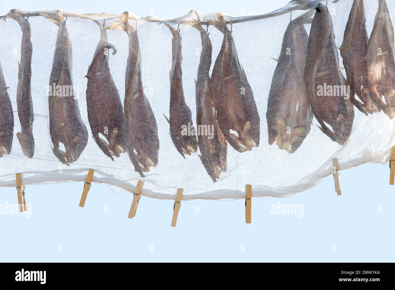 sun drying of fish Stock Photo - Alamy