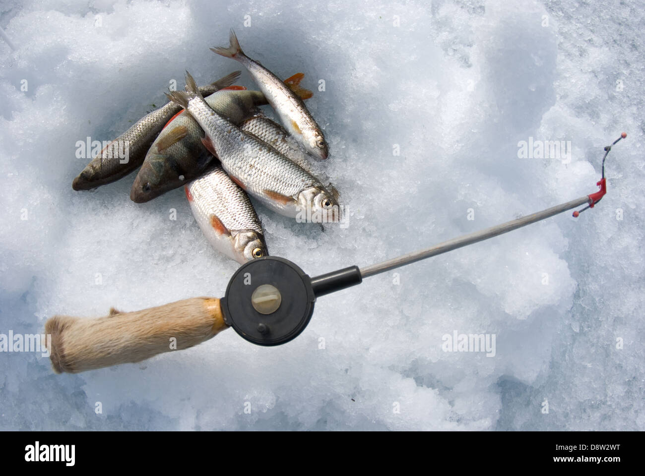 Silver catch hi-res stock photography and images - Alamy