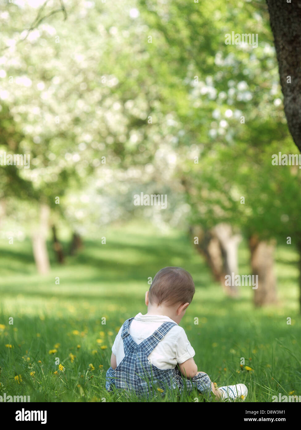 Outdoor baby in the spring Stock Photo - Alamy