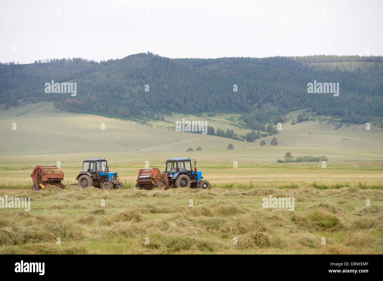 Harvesting operation hi-res stock photography and images - Alamy