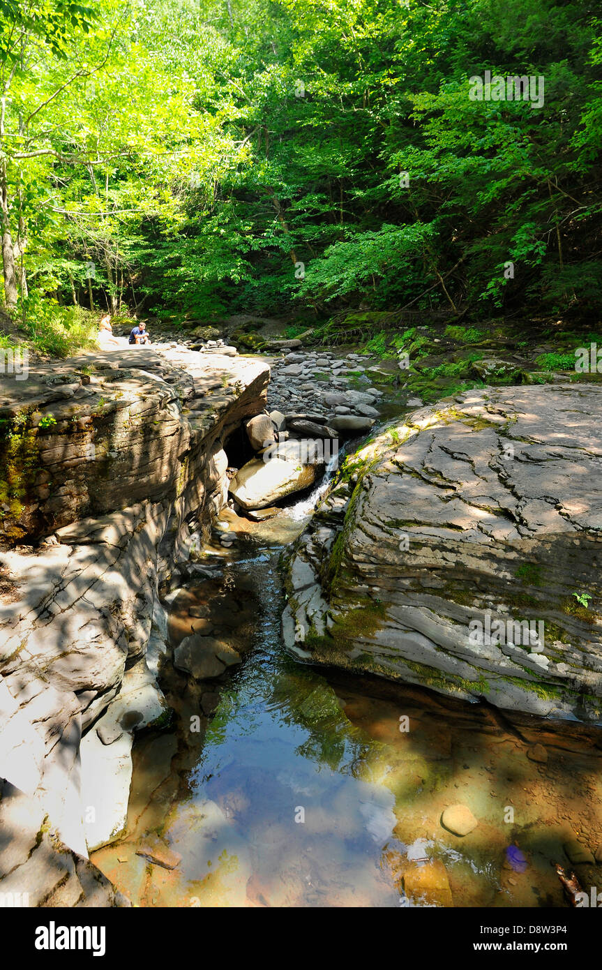 Waterfalls on Kaaterskill Creek in the Catskills Mountains - New York ...