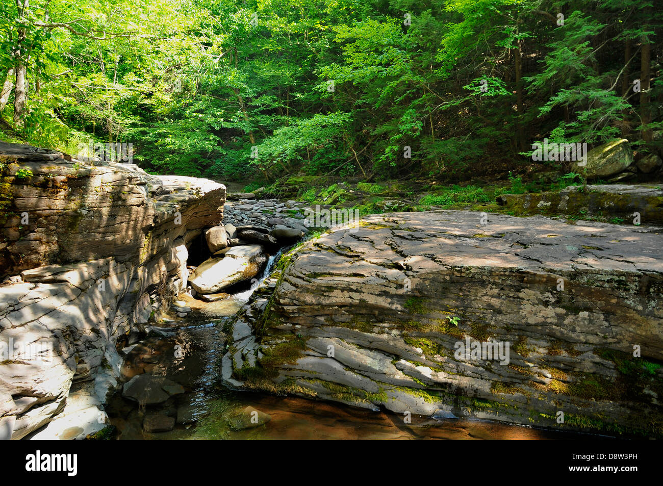 Waterfalls on Kaaterskill Creek in the Catskills Mountains - New York ...