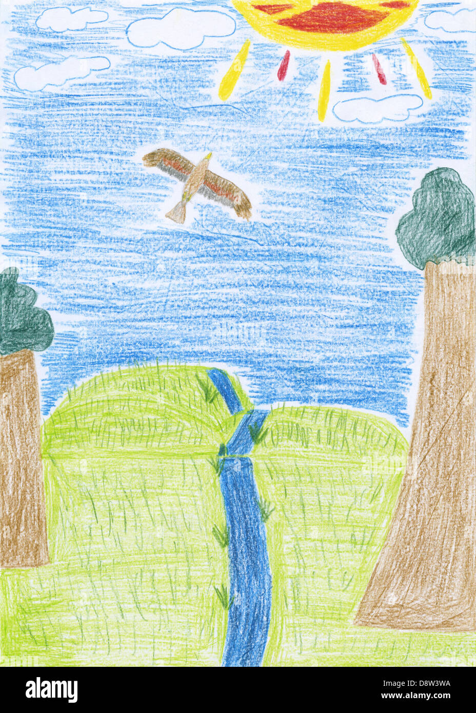 Child drawing bird drawing hi-res stock photography and images - Alamy